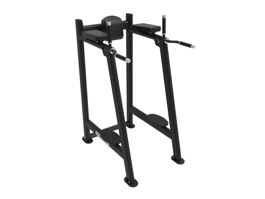 Fitness360 Dip/Leg Raise | Tress.com