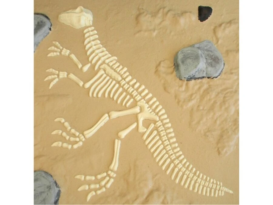 Discovery Dinosaurieskelettet Sandlek | Tress.com